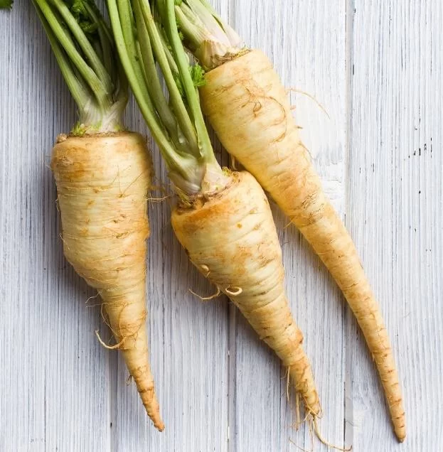 Vegetable of the Month - Parsnip - November | ACD